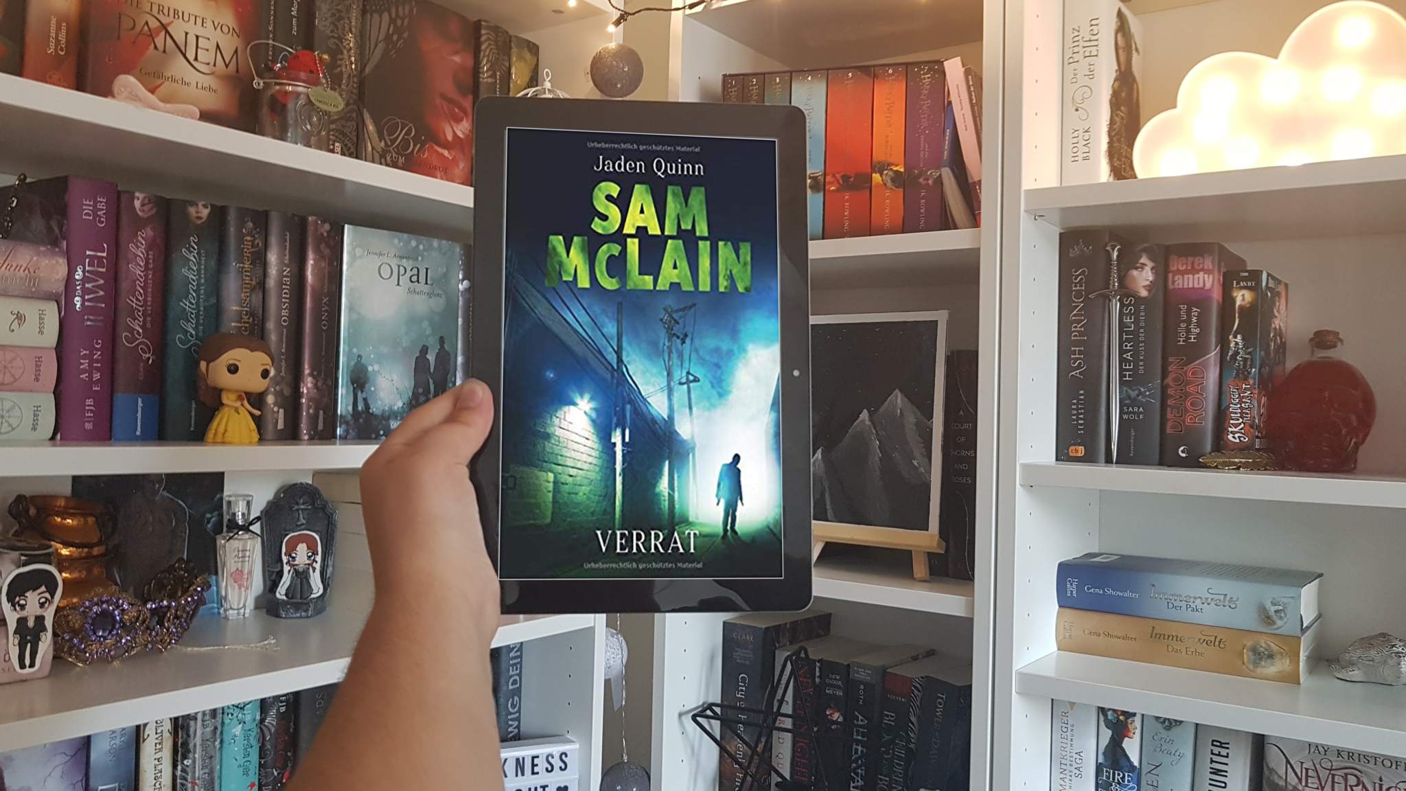 {Rezension} Sam Mclain -Verrat – Das Bücherwunderland